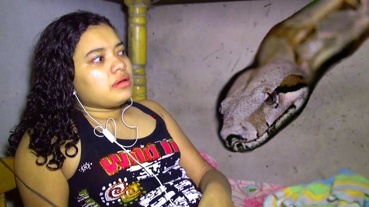 GIANT SNAKE INVADES GIRL'S BEDROOM - Sharing Clips
